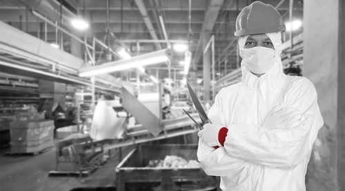 Protective Clothing for the Food and Hospitality Industry – Chef Gear
